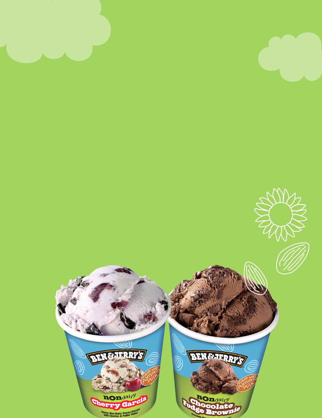 Non-Dairy Pints – Ben & Jerry's Delivery